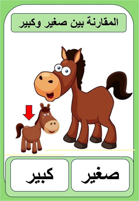 المقارنة بين صغير وكبير