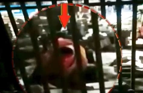 New Video Of Shivling At Wuzukhana Emerges At Gyanvapi Masjid In Varanasi