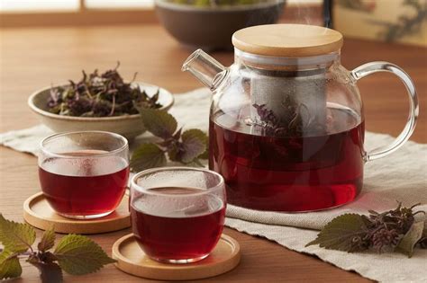 Shiso Tea Precautions Archives Myhealthopedia