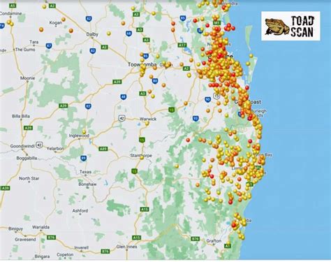 Cane Toads Cvcia Landcare