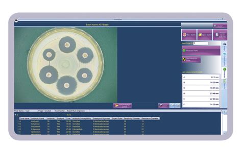 Dynamic Analysis In Software Testing