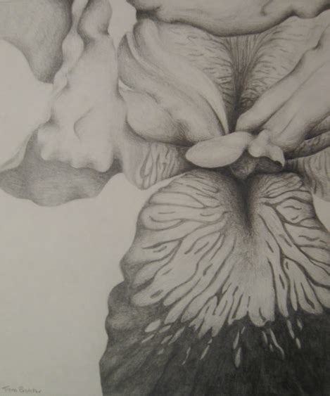Drawings Trena Michelle Bratcher
