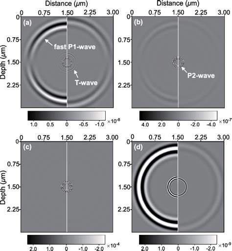 Figure 1 From Wave Simulation In Partially Saturated Porothermoelastic Media Semantic Scholar