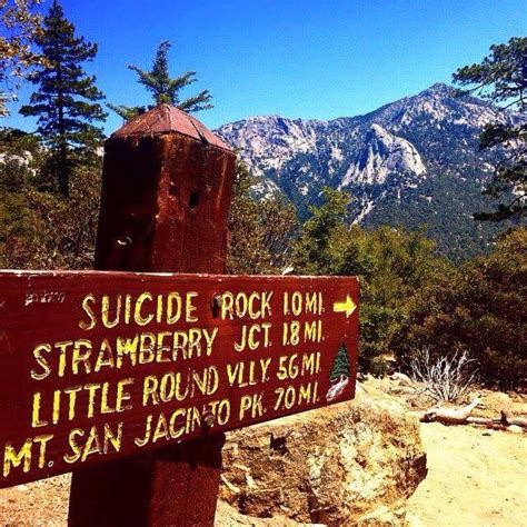 Dr Carol Ann Berg Dds Hiking And Camping Are Always Better Without A Toothache When Was