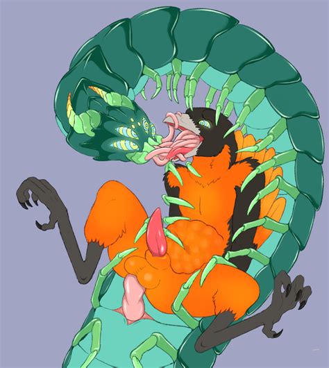 Rule 34 Absurd Res Ambiguous Gender Anal Anal Sex Anthro Arthropod