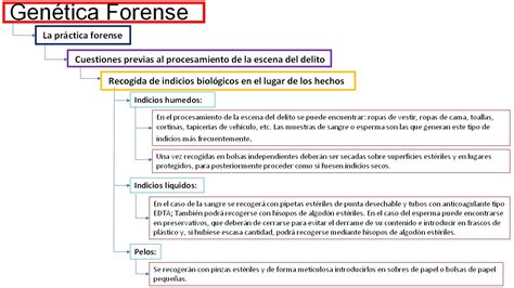 Genética Forense La Practica Forense