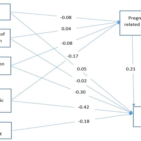 Path Analysis Test Of The Relationship Between The Social Determinants