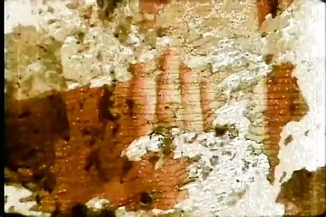 Nasser Schritt Salon Auf Full Hd Hochskaliert Xhamster