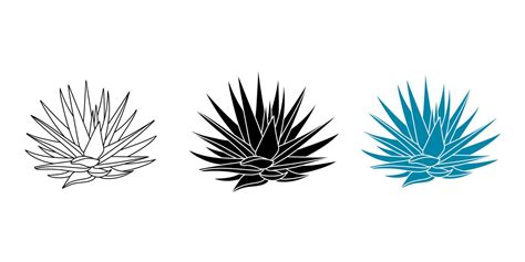 Blue Agave Plant Illustration
