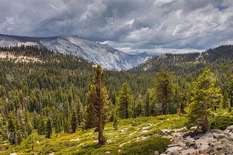 美国加州内华达山脉的景色。