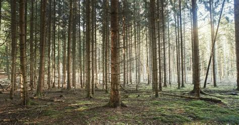 Take Aways Stibbe Esg And Sustainability Conference 2024 Stibbe