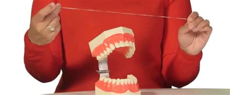 Brushing And Flossing Techniques A Comprehensive Overview