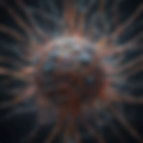 In Depth Look At Neural Network Simulators