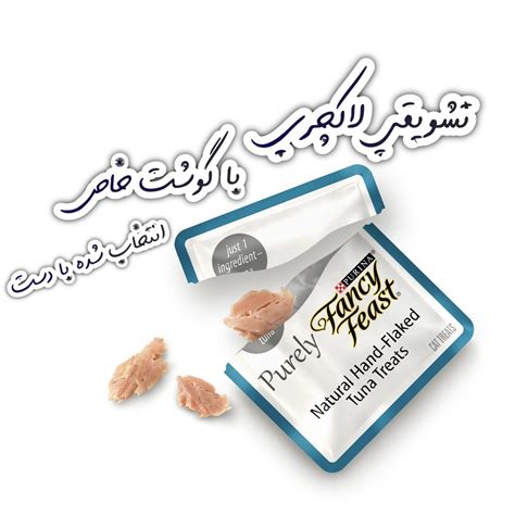 پت شاپ کیتی کت پت شاپ کیتی کت