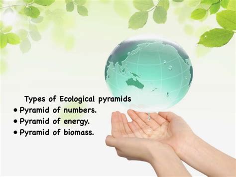 ecosystem ppt ppt