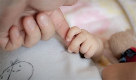 Small Non Coding Rnas Can Cross The Placenta Scientists Say Asian Scientist Magazine