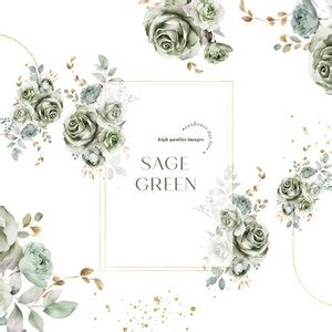 Watercolor Sage Green Flowers Bouquets Birthday Clipart Elegant Sage