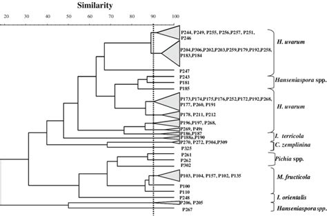 unweighted pair group method with arithmetic mean upgma dendrogram