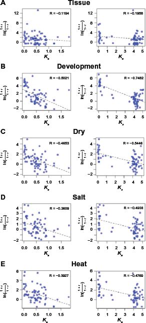 The Relationship Between The Correlation Coefficient R Of Gene Download Scientific Diagram