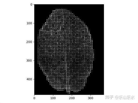 【skimage】计算梯度方向直方图hog 知乎