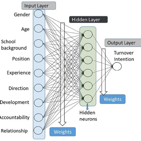 Schematic Representation Of The Present Ann Model Download