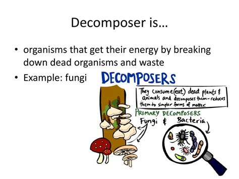 4th 6 Weeks 7th Grade Science Ppt Download