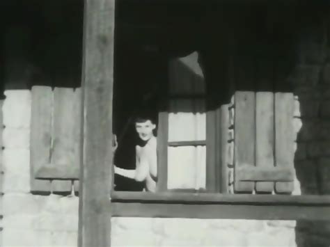 Donna Busty Brown Headquarters