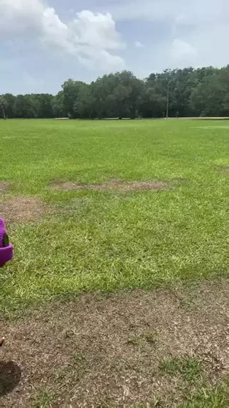 Ws10 Ws10 Vanilbean Face Reveal