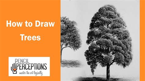 How To Draw Trees YouTube