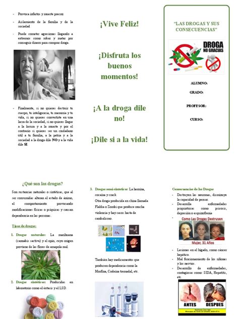Triptico De Las Drogas Pdf Drogas Cannabis Droga