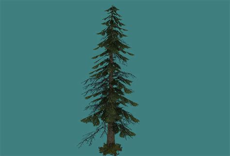 Tree Pine05 Addon Sc Half Life 2 Mod For Half Life Moddb