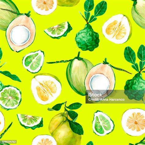 이국적인 과일과 수채화 원활한 패턴 젊은 녹색 코코넛과 카피르 라임 직물 포장 및 섬유 제품에 이상적입니다 잎에 대한 스톡 벡터 아트 및 기타 이미지 Istock