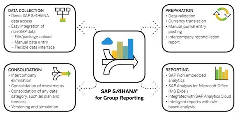Group Reporting In SAP S4 V Solve Inc