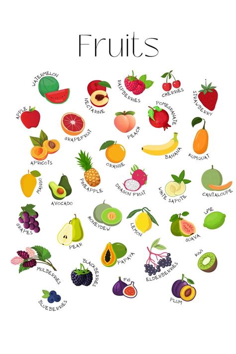 Fruit And Vegetable Chart Etsy Vegetable Chart Vegetable Medley Sapote