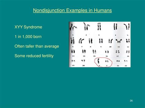 PPT Sex Determination And Sex Linked Genes PowerPoint Presentation Free Download ID