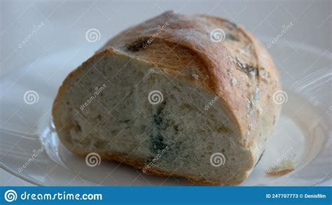 Bread Covered With Mold Close Up Stock Image Image Of Ugliness