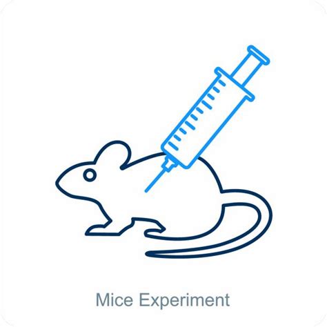 1 000 mouse experiment illustrations royalty free vector graphics