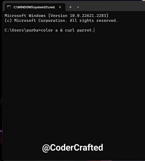 How To Draw A Parrot Using Command Prompt Cmd Code Codinglife Coders Parrot Commandprompt