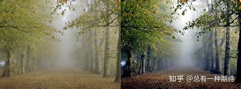 图像去雾、图像去雨算法汇总（毕业设计 代码） 知乎