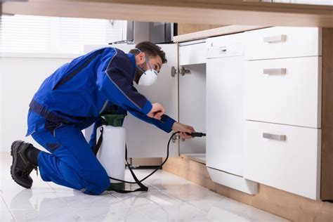 Gt Extermination Extermination Leaders In Laval Gt Extermination Extermination Leaders In Laval