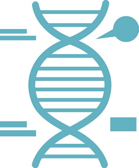 Dna Genomic 17415556 Png
