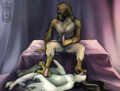 Rule 34 2017 4 Toes Anisodactyl Avian Beak Bird Brown Eyes Claws