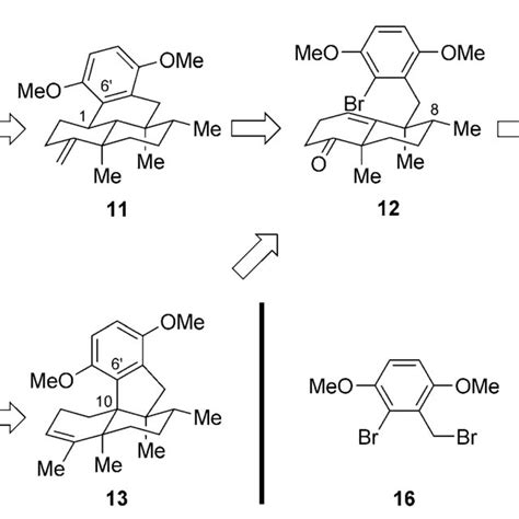 Retrosynthetic Analysis For Dysideanone B And Dysiherbol A Download