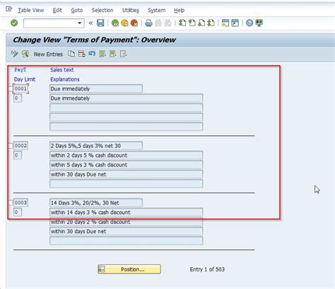 Maintain Terms Of Payment In Sap