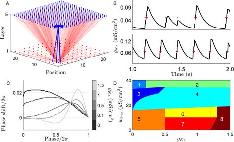 Cortical Network Model Of Cholinergic Modulation A Our Network Download Scientific Diagram