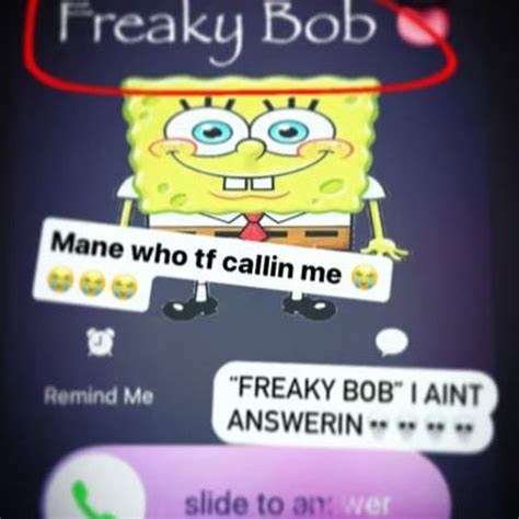 Freaky Bob Freaky Saga Wiki