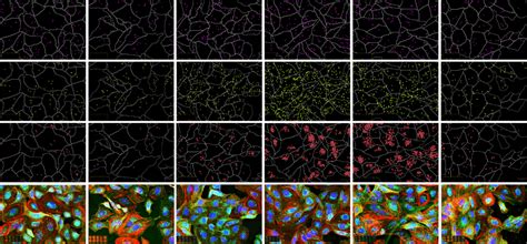 Aviti24 Next Gen Multiomic Platform Element Biosciences