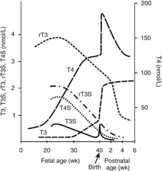 Fetal And Neonatal Endocrinology Oncohema Key