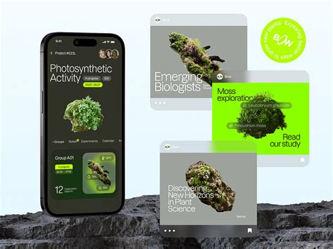 lay ux ui and branding for startups dribbble