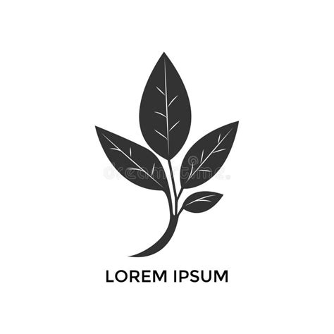 Sprout Logo Isolated White Background Vector Illustration Stock